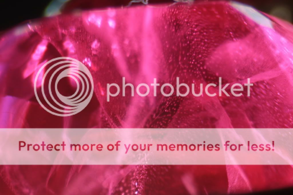 ruby inclusion - GemologyOnline.com